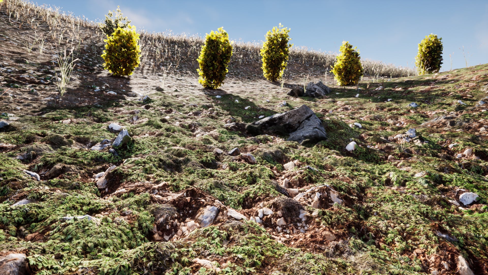 Photoscanned Rocky Field in Environments - UE Marketplace