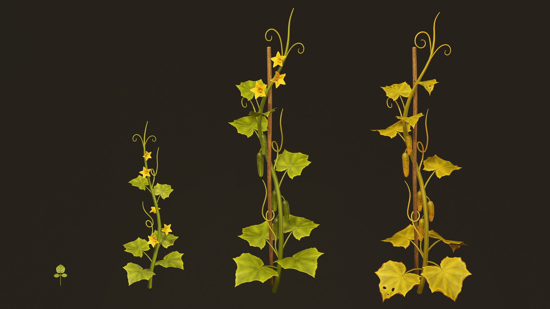 Growing Plants Unreal Engine Asset