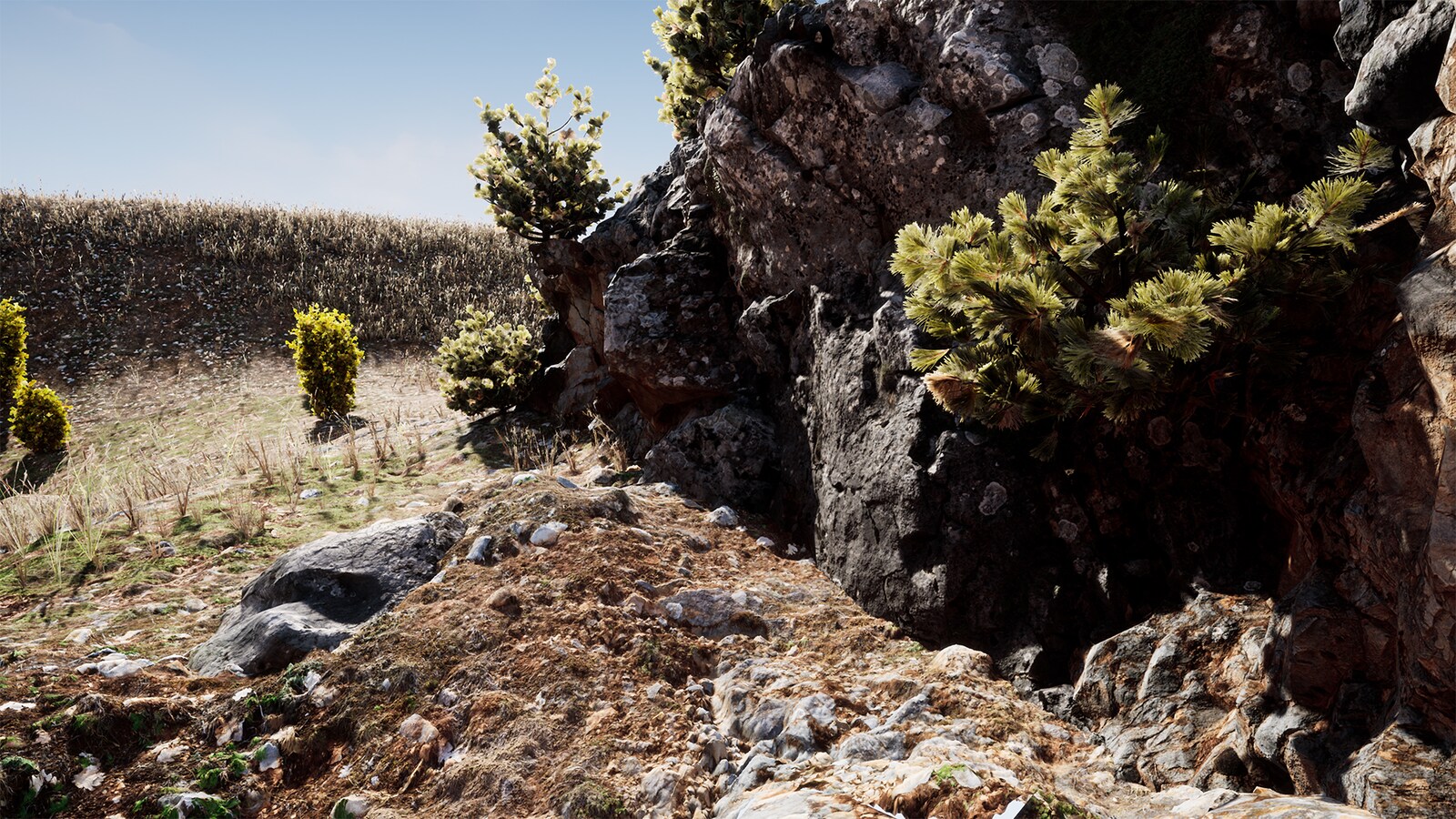 Photoscanned Rocky Field in Environments - UE Marketplace