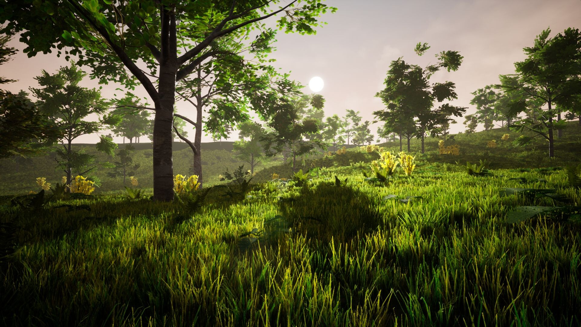 Broadleaf Forest Pack in Environments - UE Marketplace