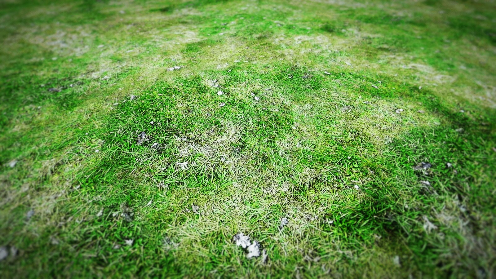 Landscape Texture Pack in Textures - UE Marketplace