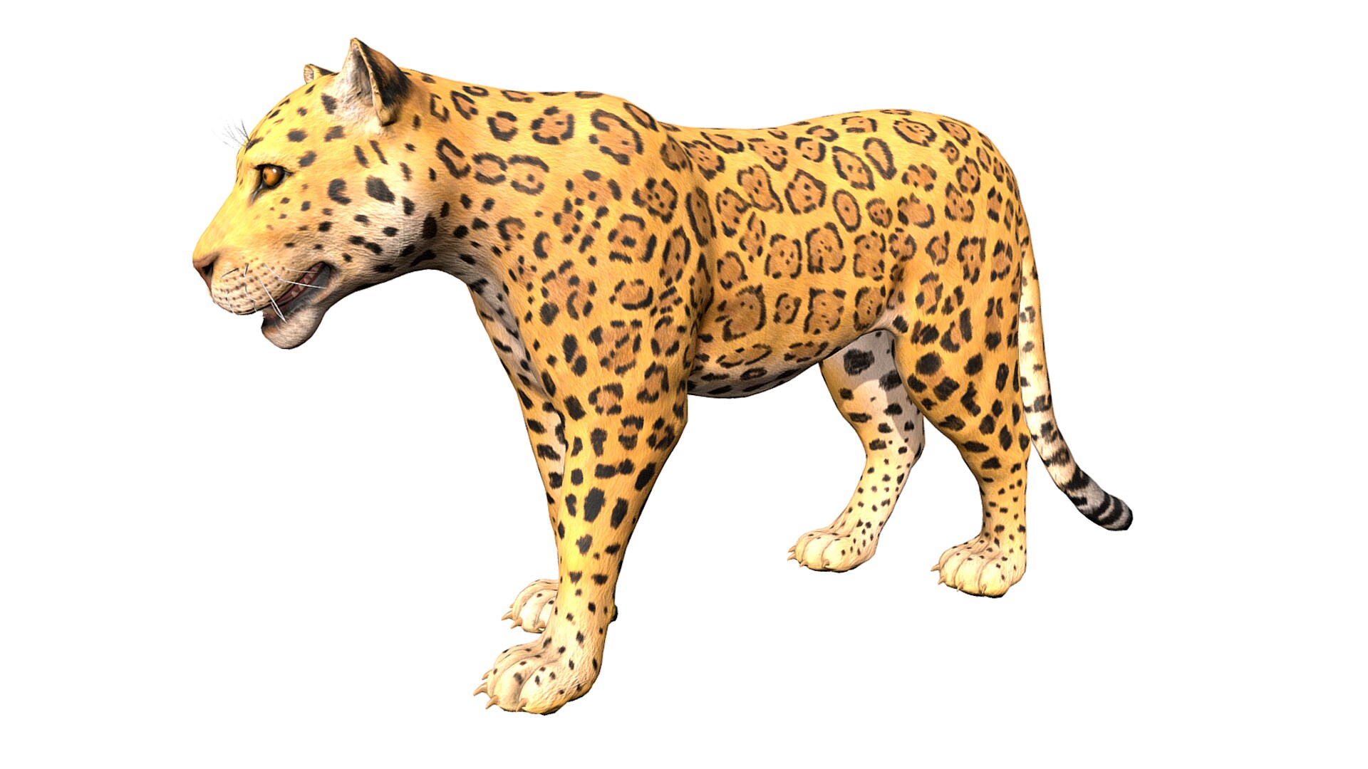 Jaguar – ASSET CLOUD Jaguar – ASSET CLOUD