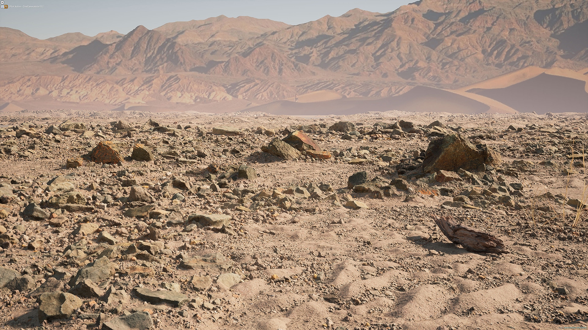 Megascans Desert Pack, 카테고리 배경 - UE 마켓플레이스