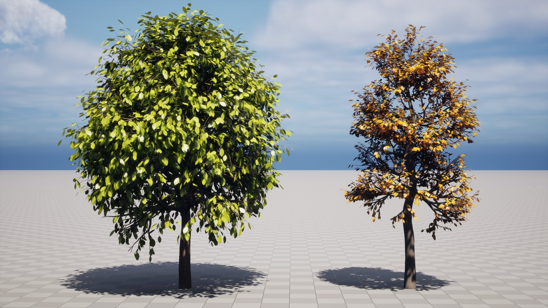 Rhino 3d Trees