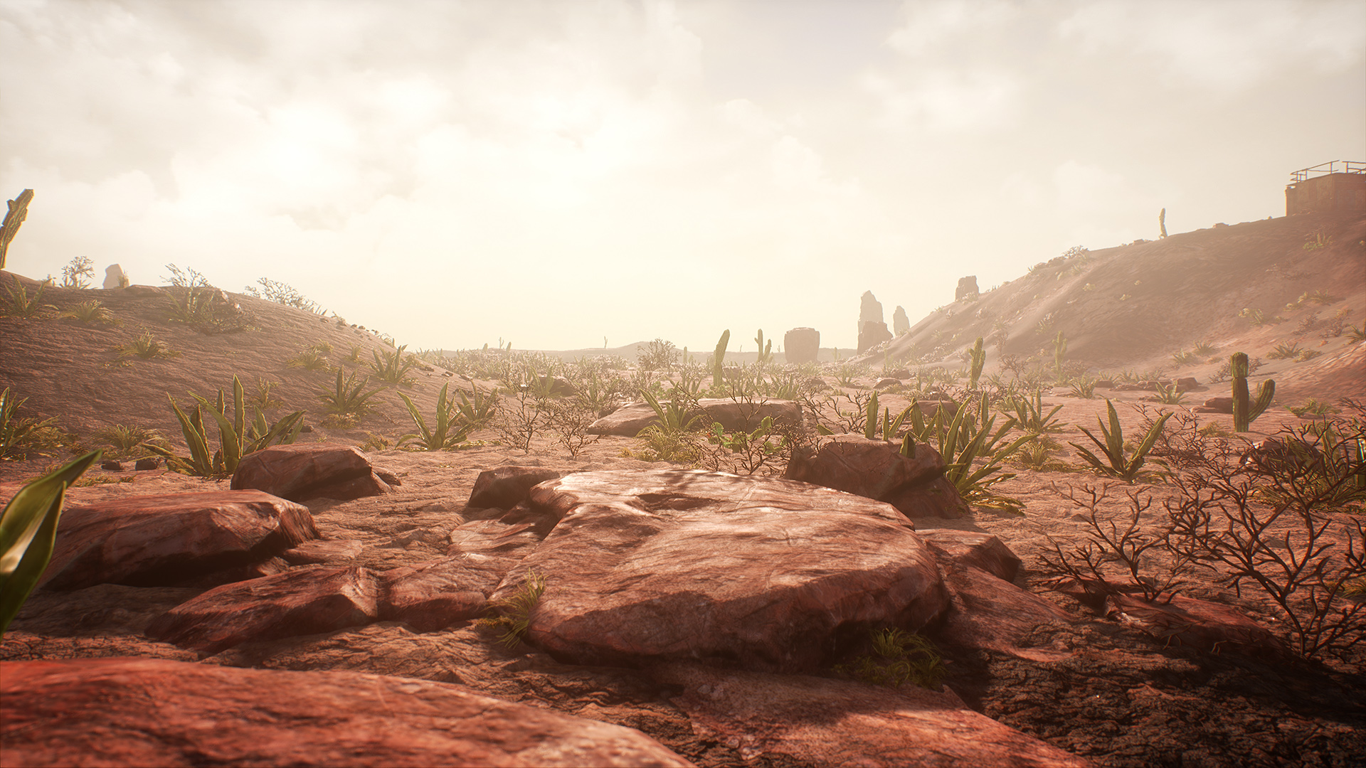 Post Apocalyptic Desert Landscape