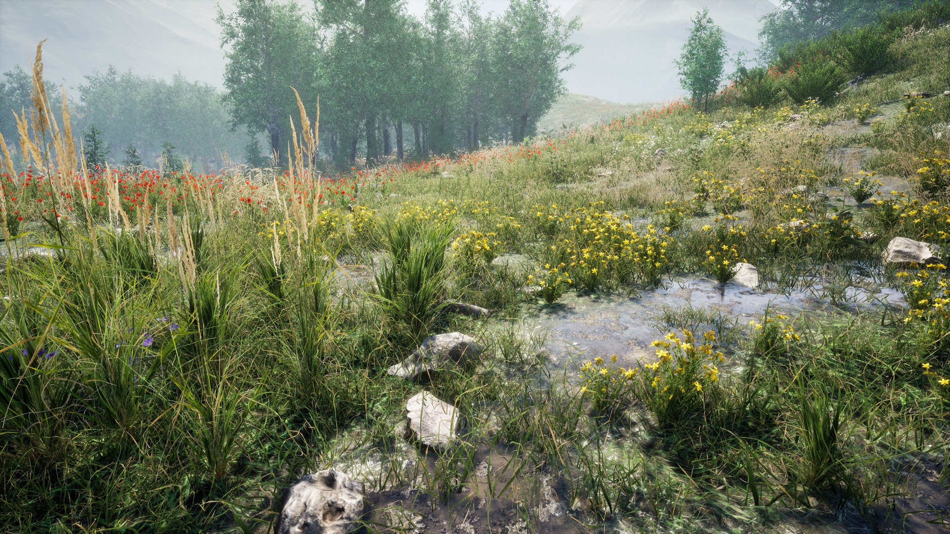 Meadow - Environment Set