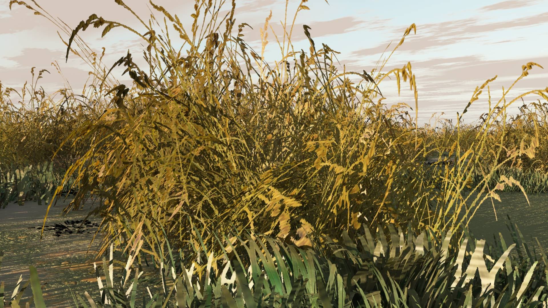 High Simulation Natural Plant Model Resource Package in Environments ...