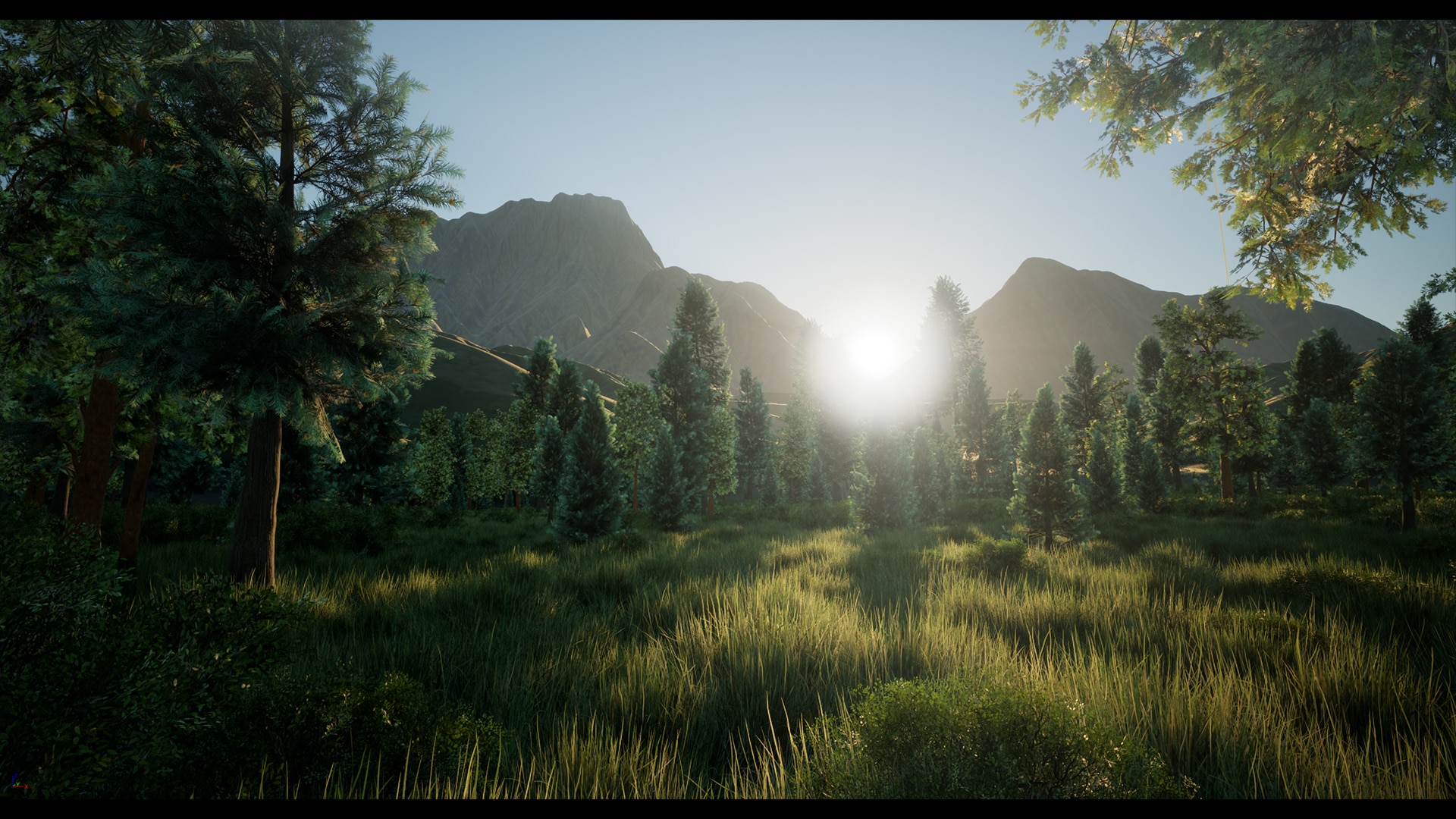 Realistic Autumn Forest Location 2x2 in Environments - UE Marketplace