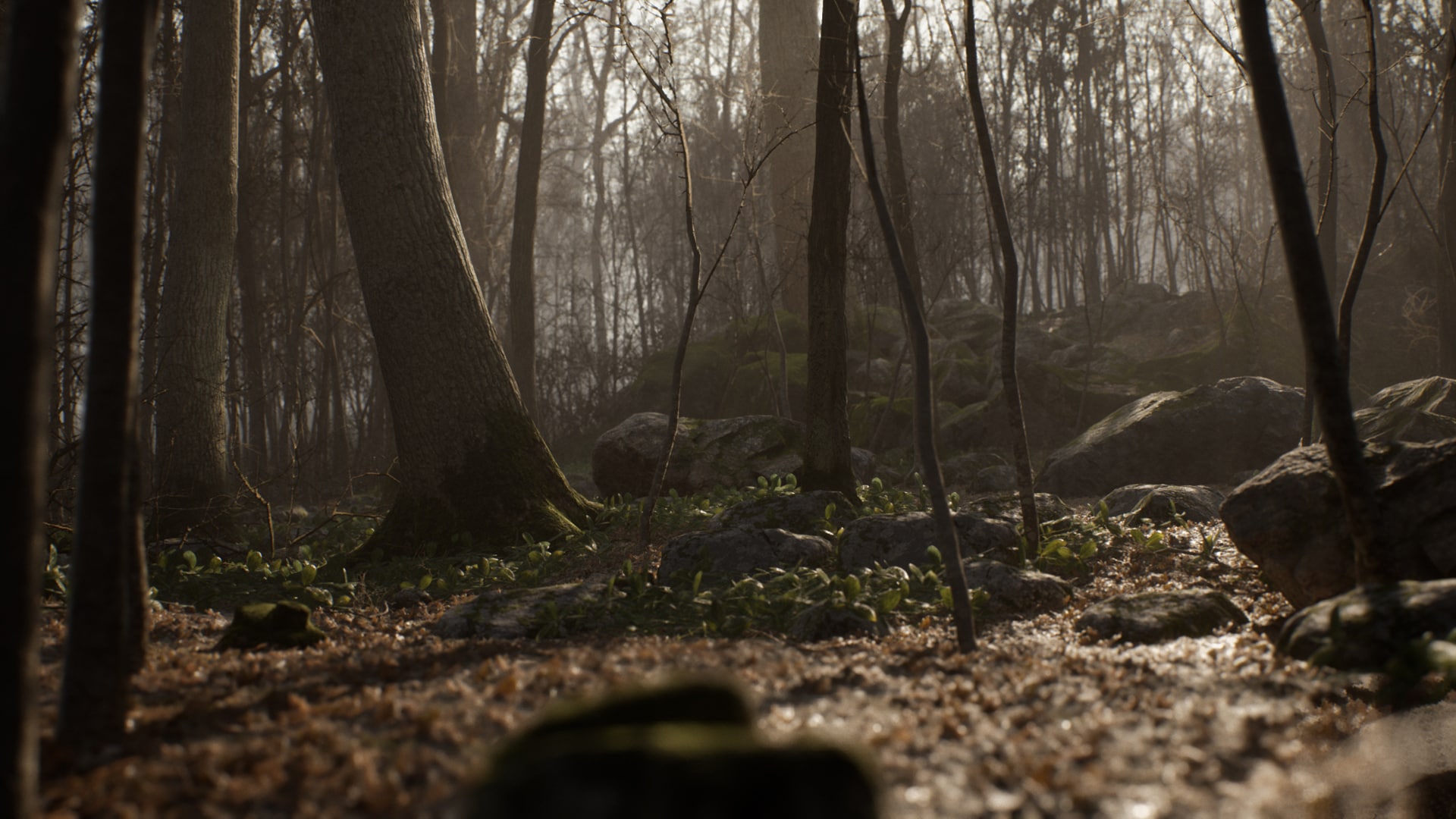 Procedural Forest Asset Pack in Environments - UE Marketplace