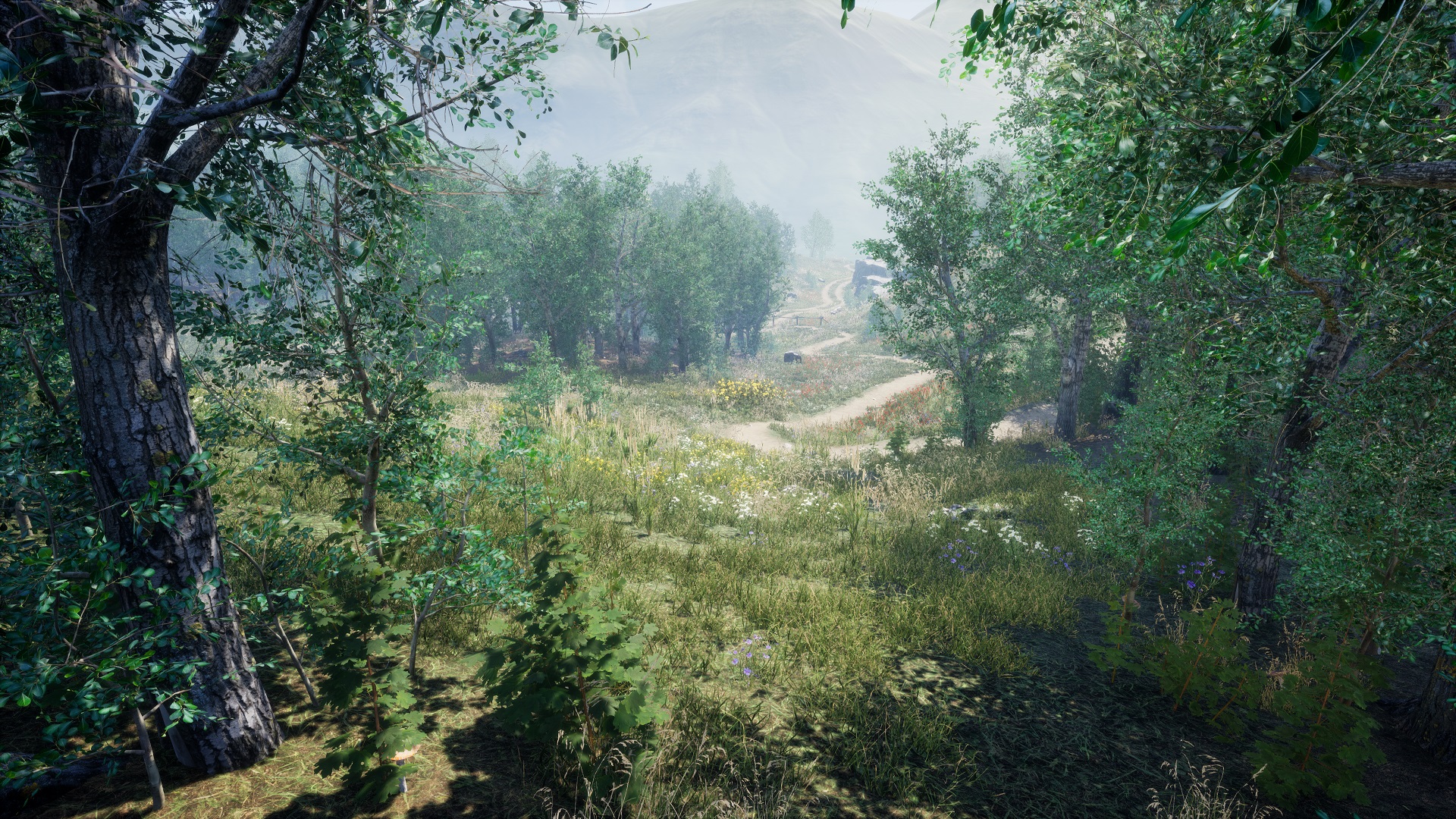 Meadow - Environment Set