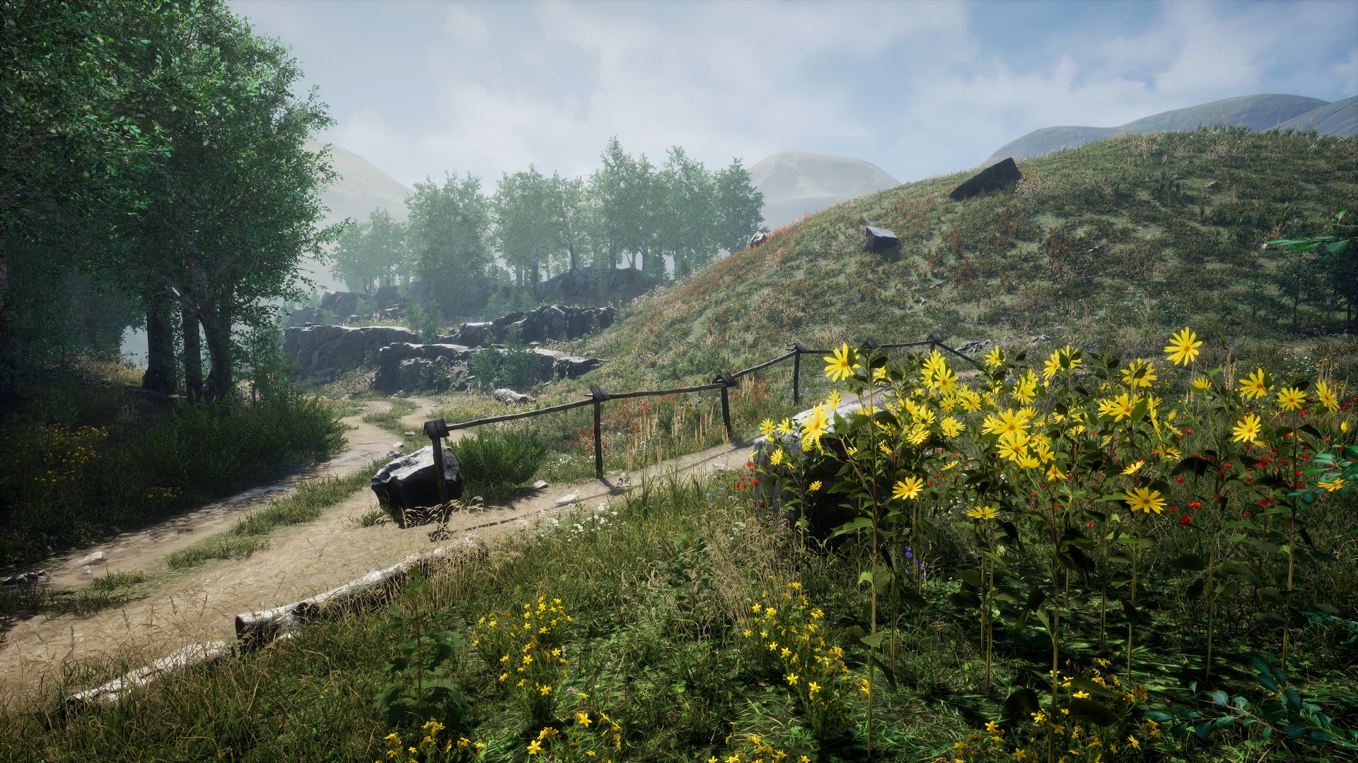 Meadow - Environment Set