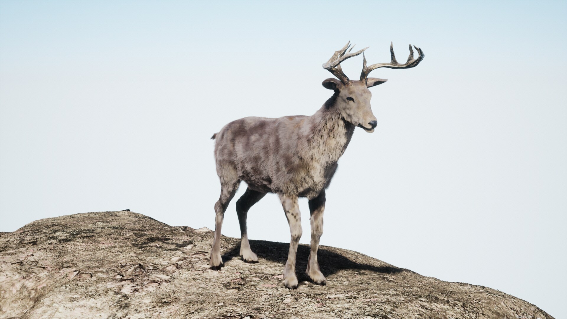 Deer in Characters - UE Marketplace