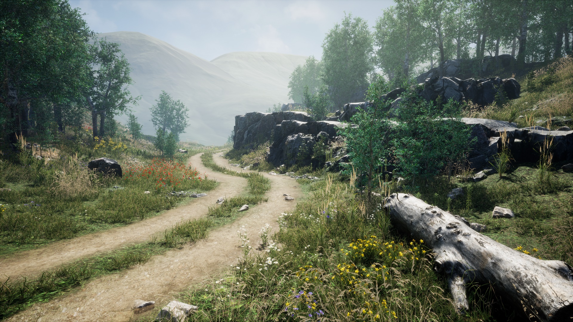 Meadow - Environment Set