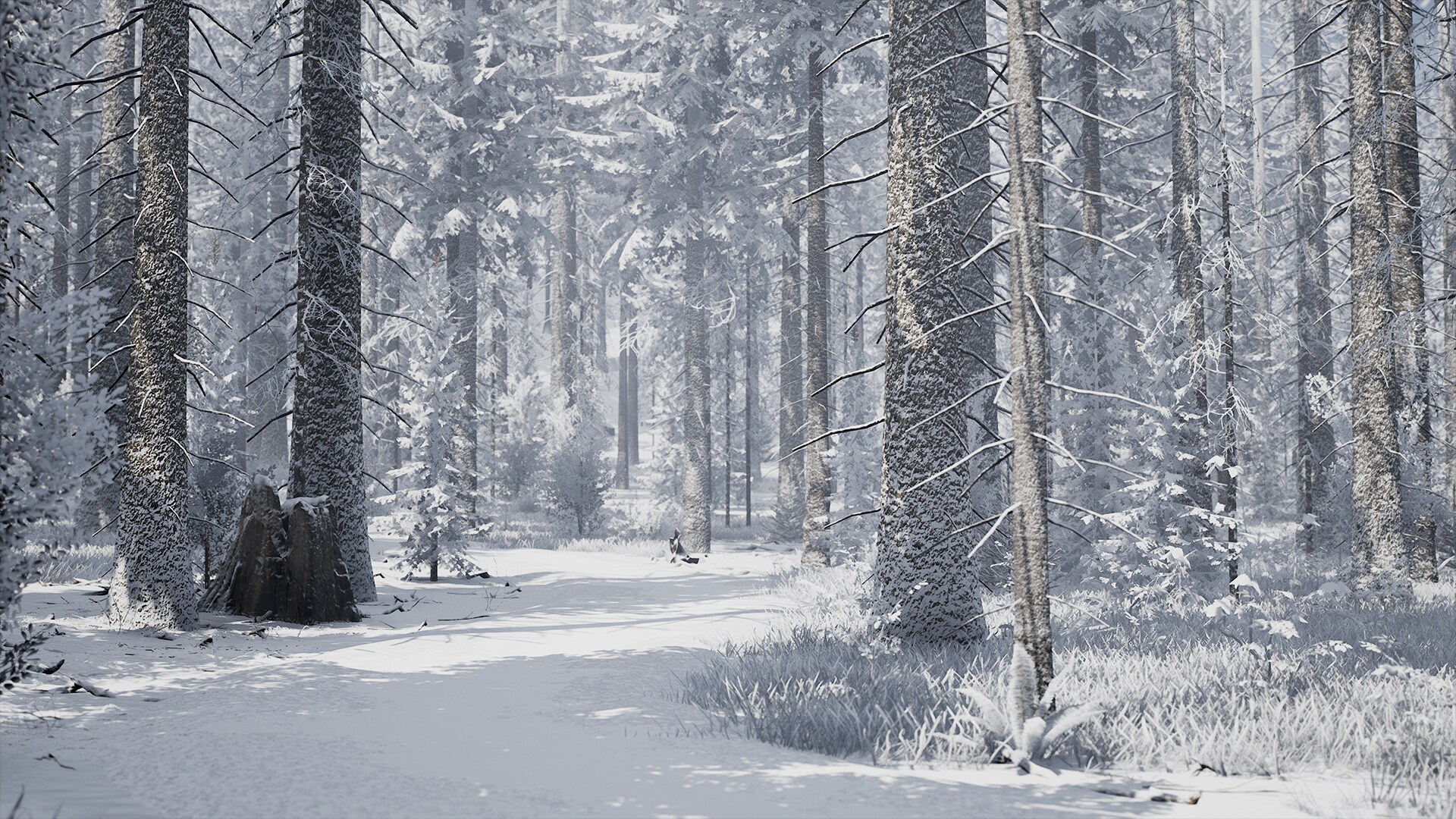 Spruce Forest in Environments - UE Marketplace