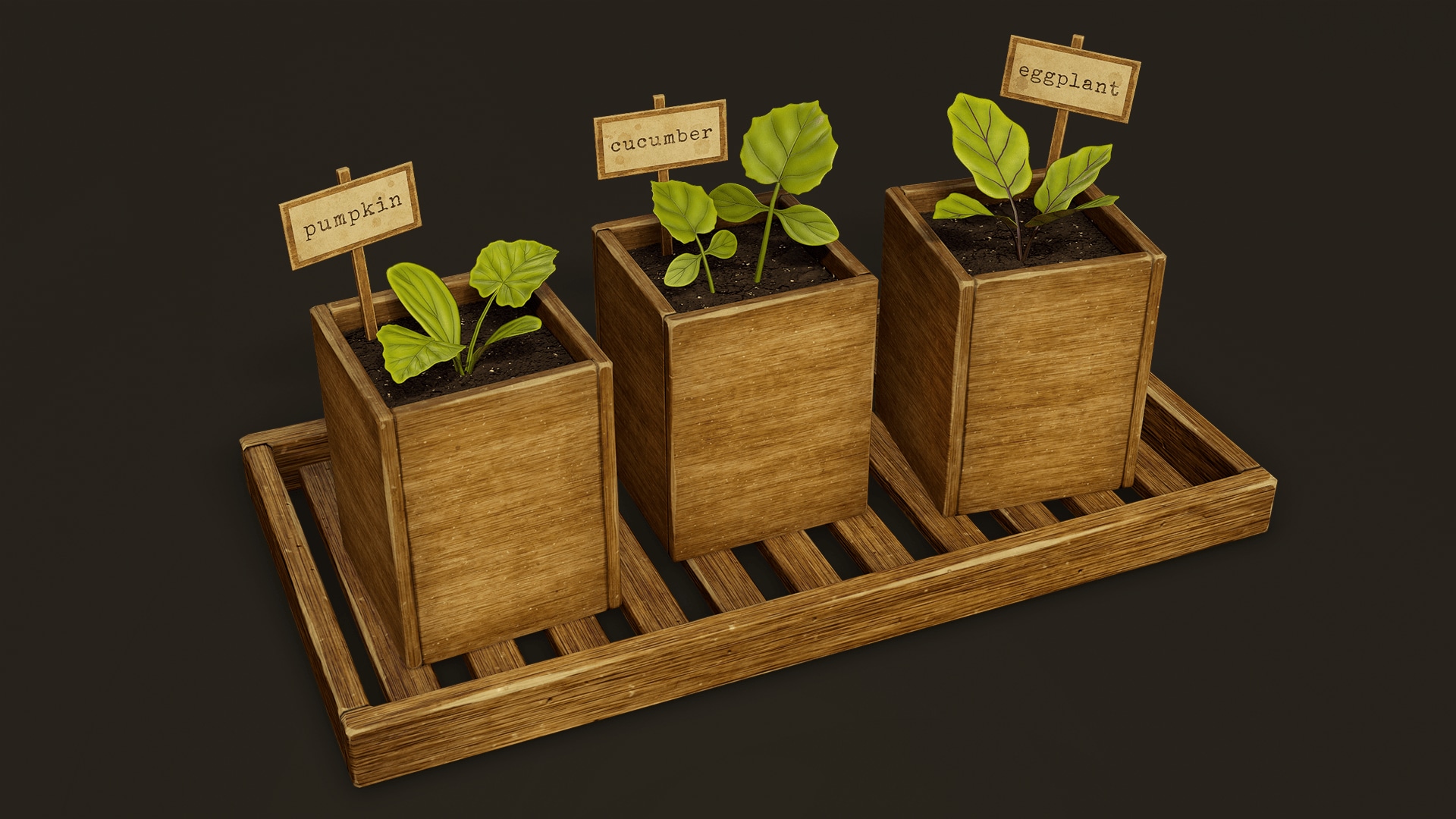 Growing Plants Unreal Engine Asset