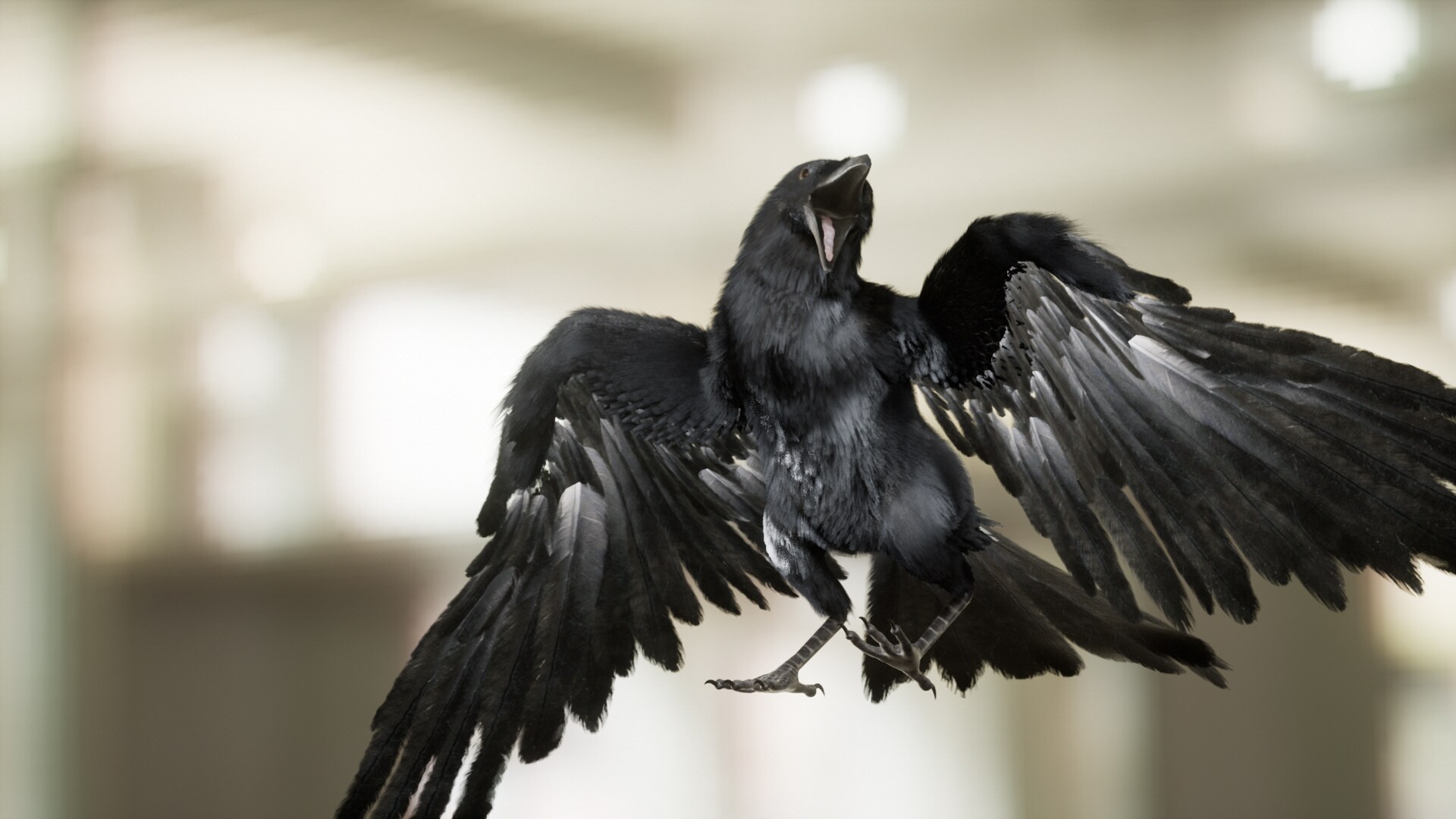 Crow in Characters - UE Marketplace