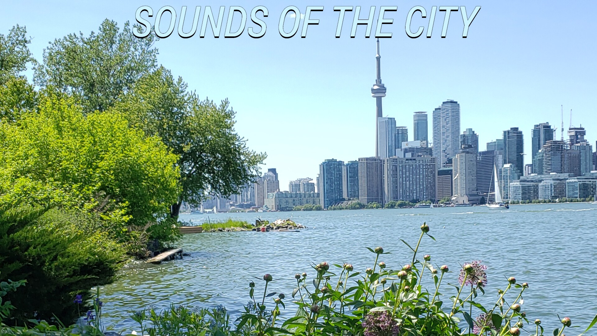 Sounds of the City Foley (54 Unique City Ambiences) in Sound Effects ...