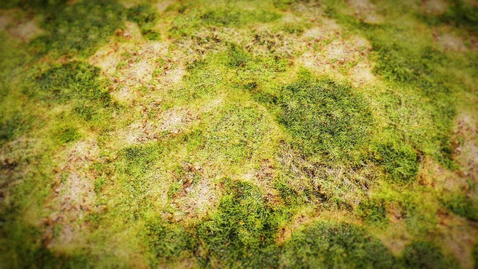 Landscape Texture Pack in Textures - UE Marketplace