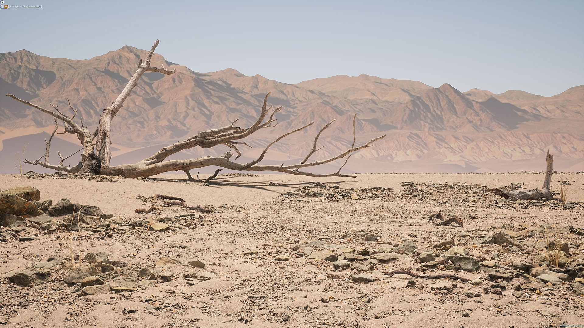 Megascans Desert Pack in Environments - UE Marketplace