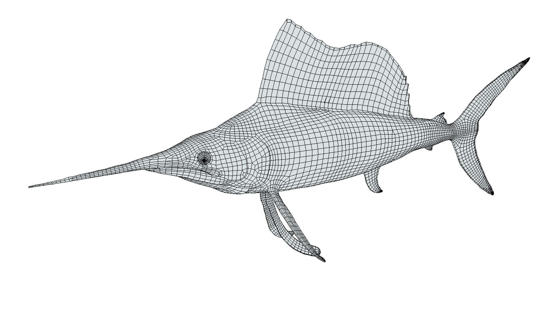 Sailfish in Characters - UE Marketplace