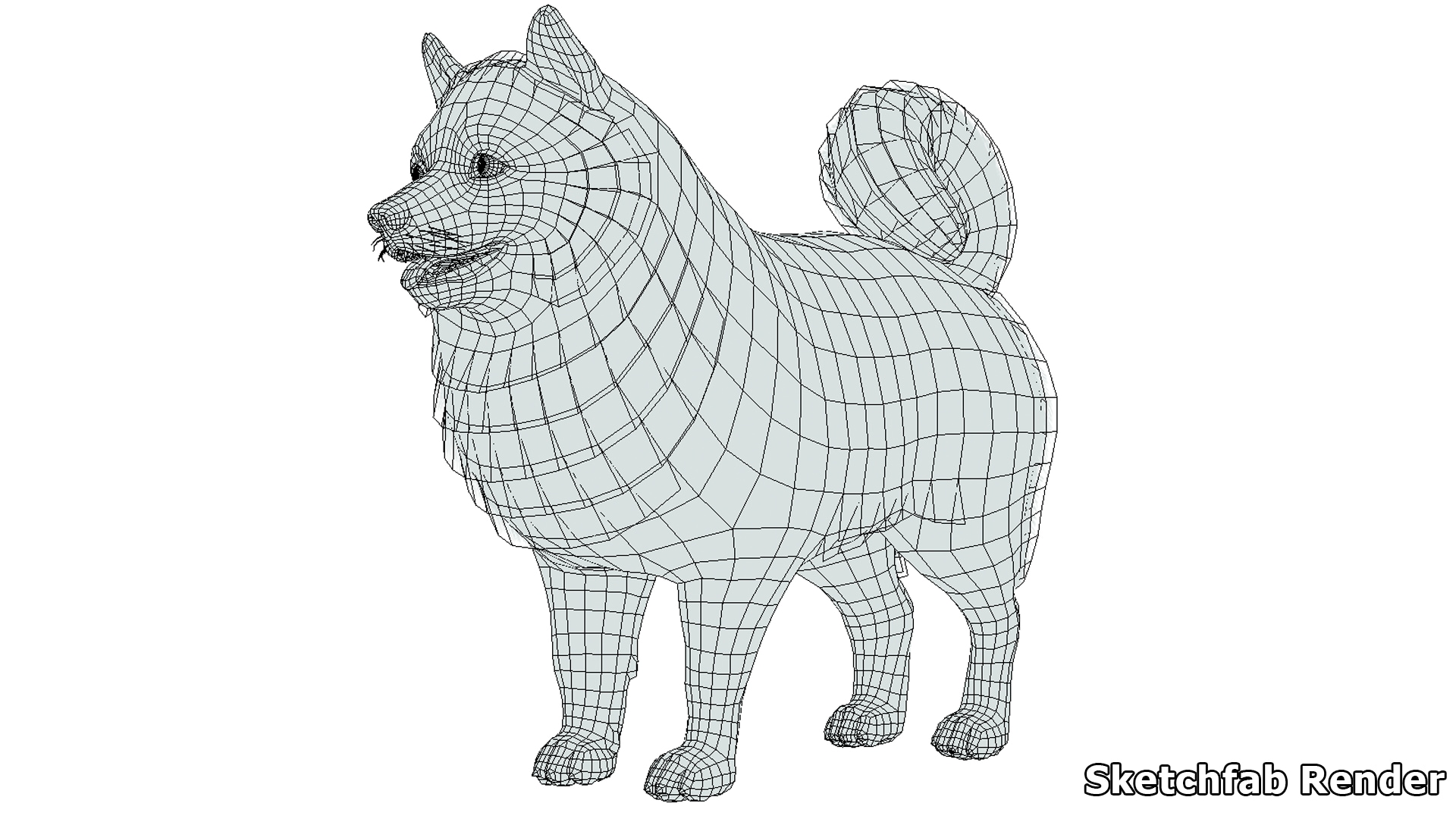 Dog - Pomeranian Spitz in Characters - UE Marketplace