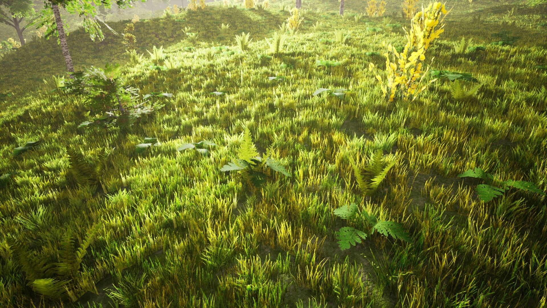 Broadleaf Forest Pack in Environments - UE Marketplace