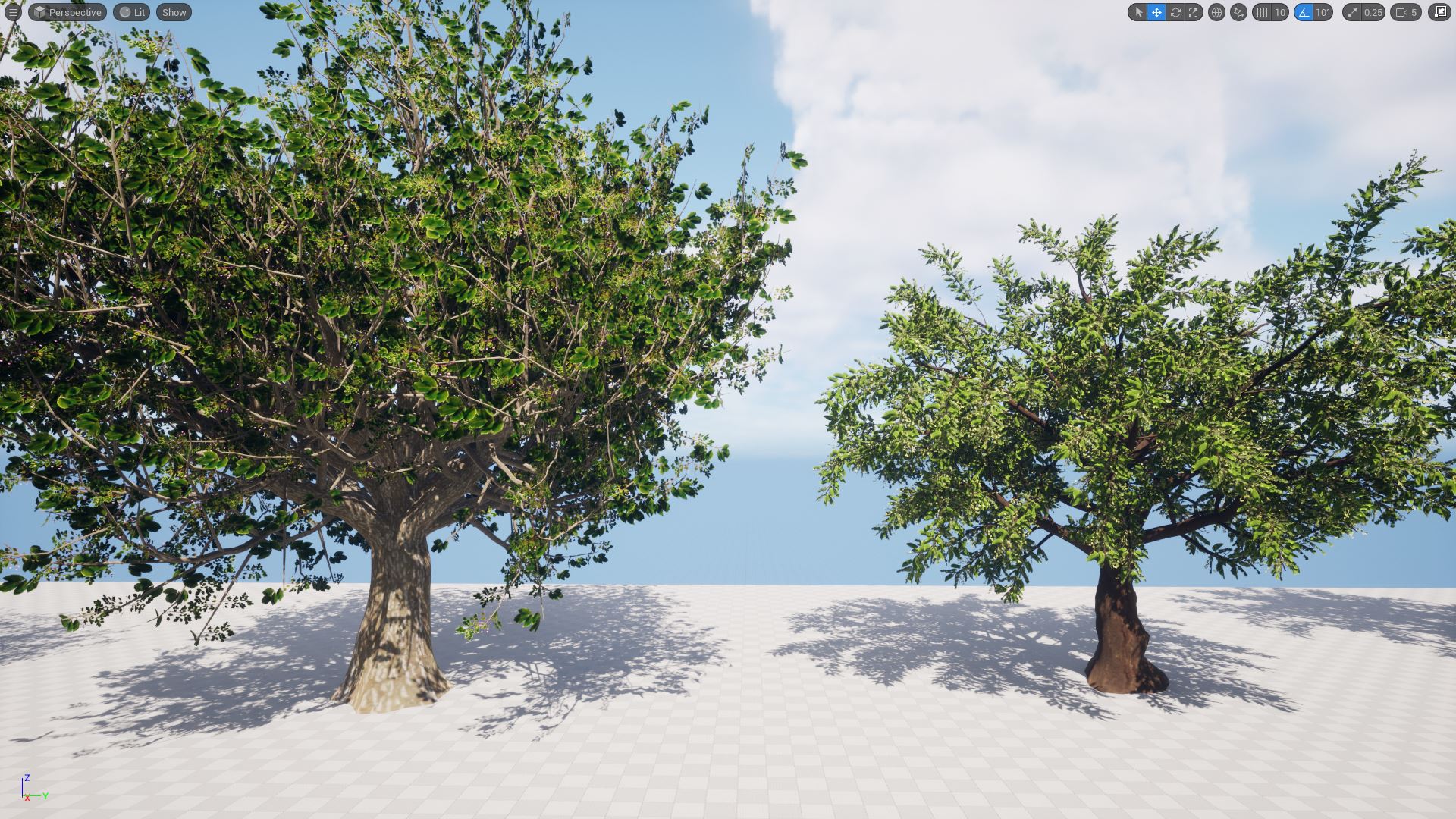 10 Realistic tree pack