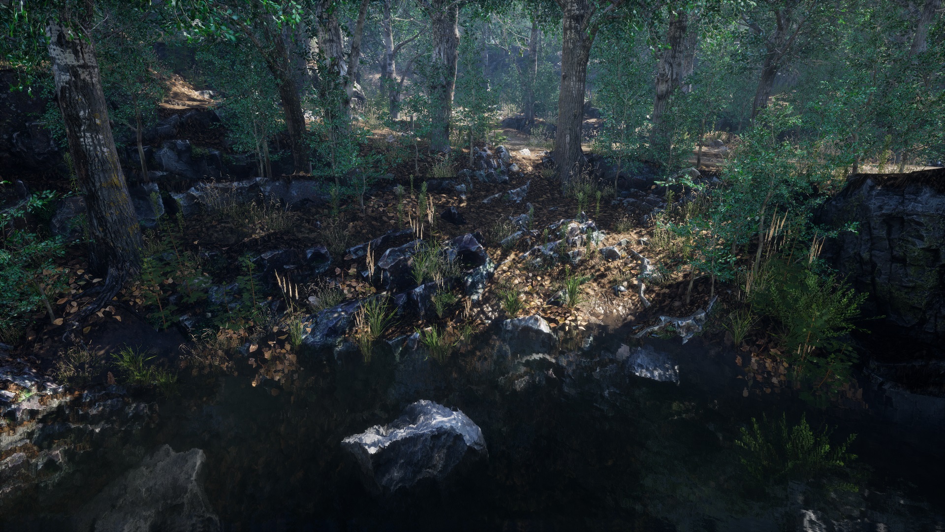 Meadow - Environment Set