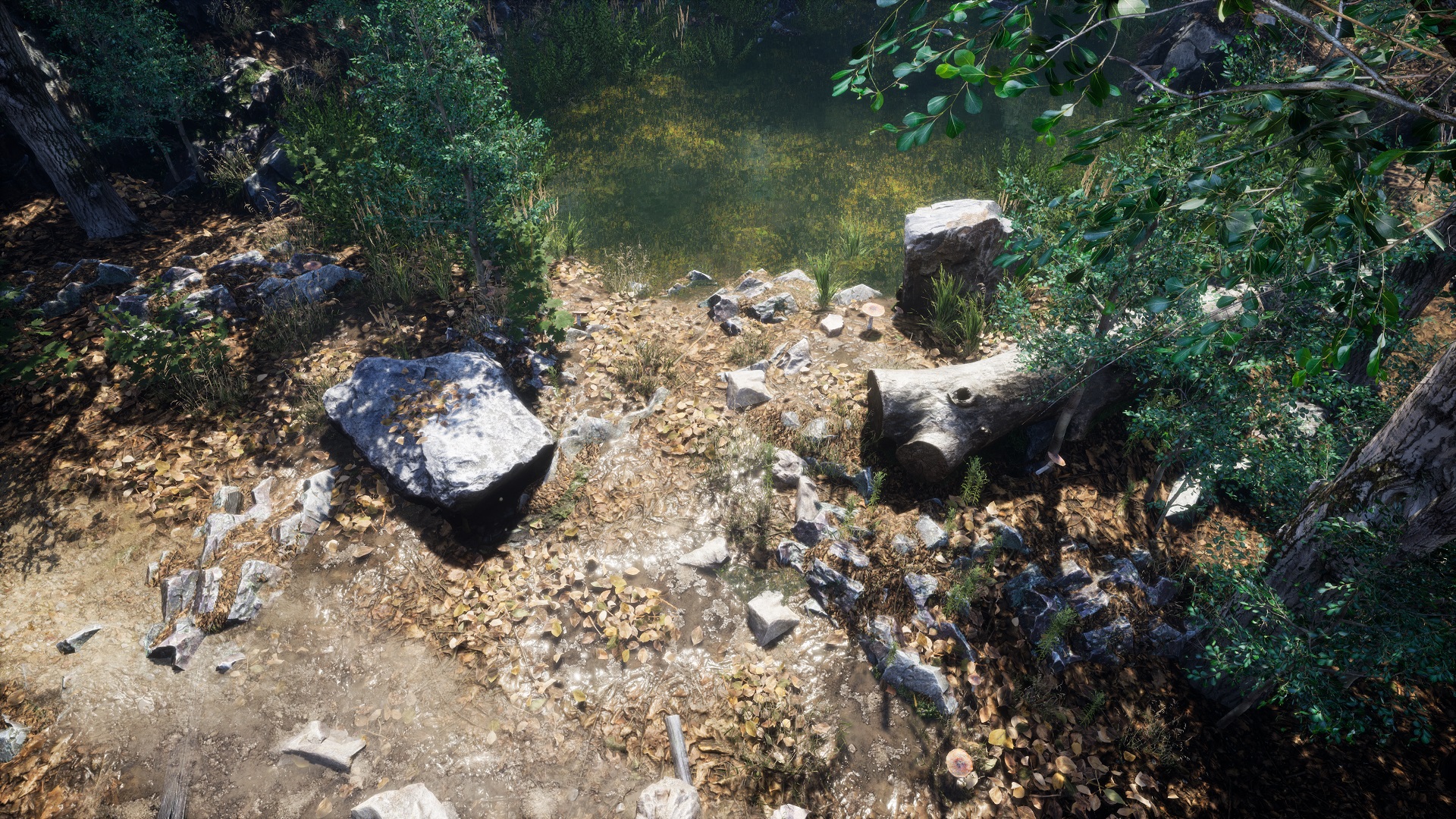 Meadow - Environment Set