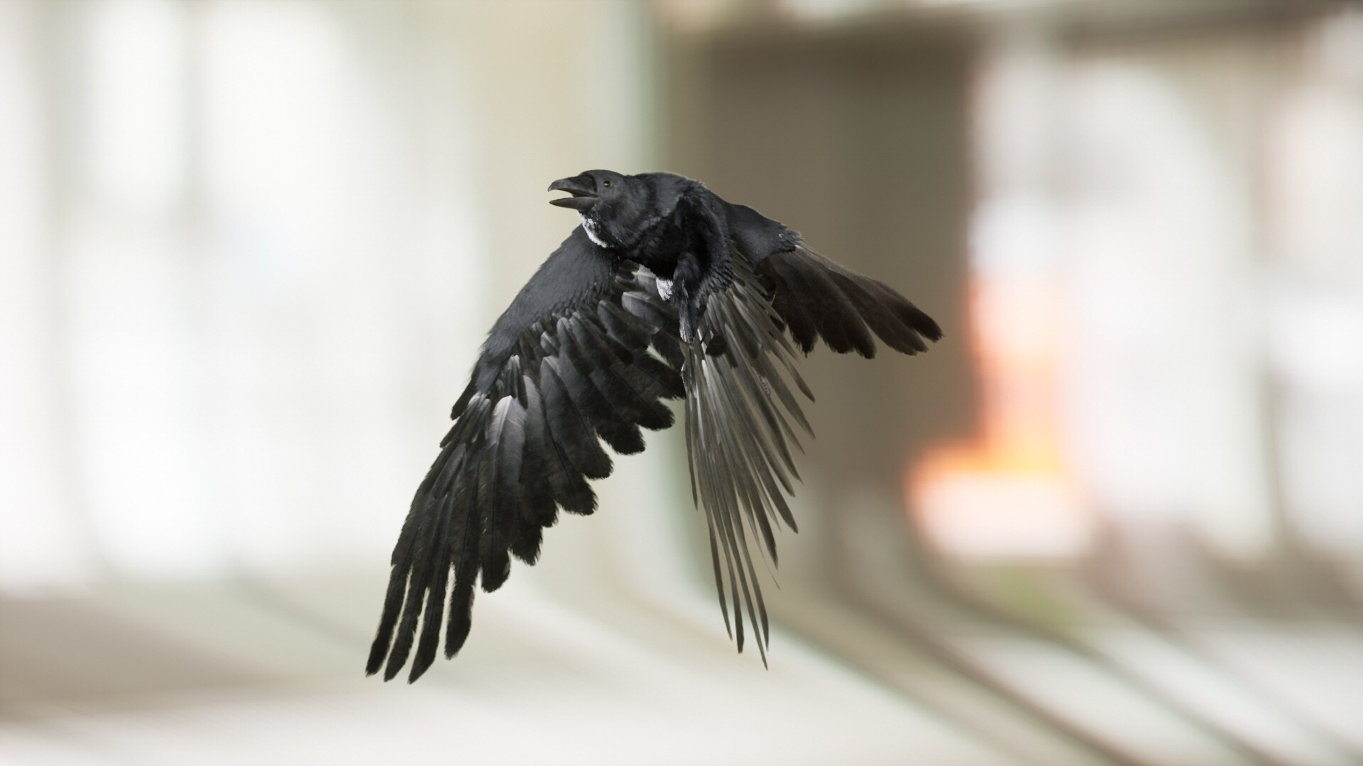 Crow in Characters - UE Marketplace