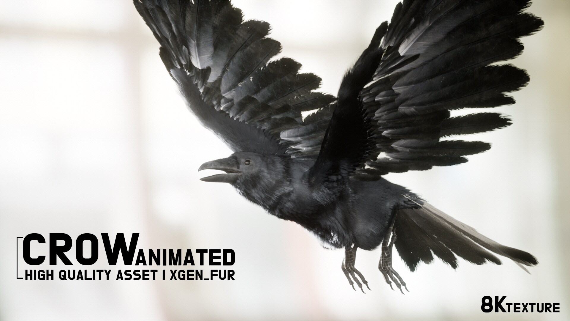 Crow in Characters - UE Marketplace