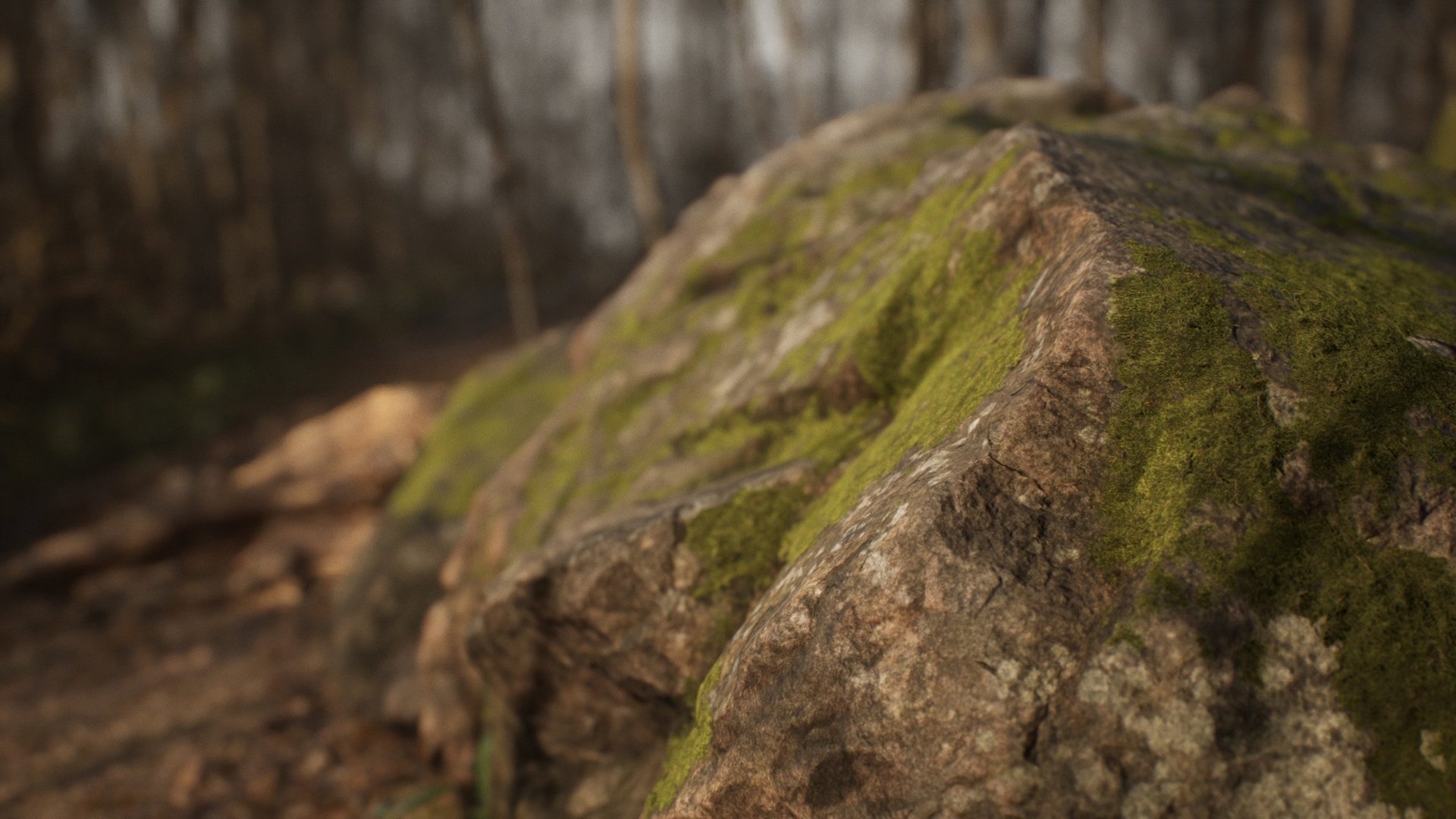 Procedural Forest Asset Pack in Environments - UE Marketplace