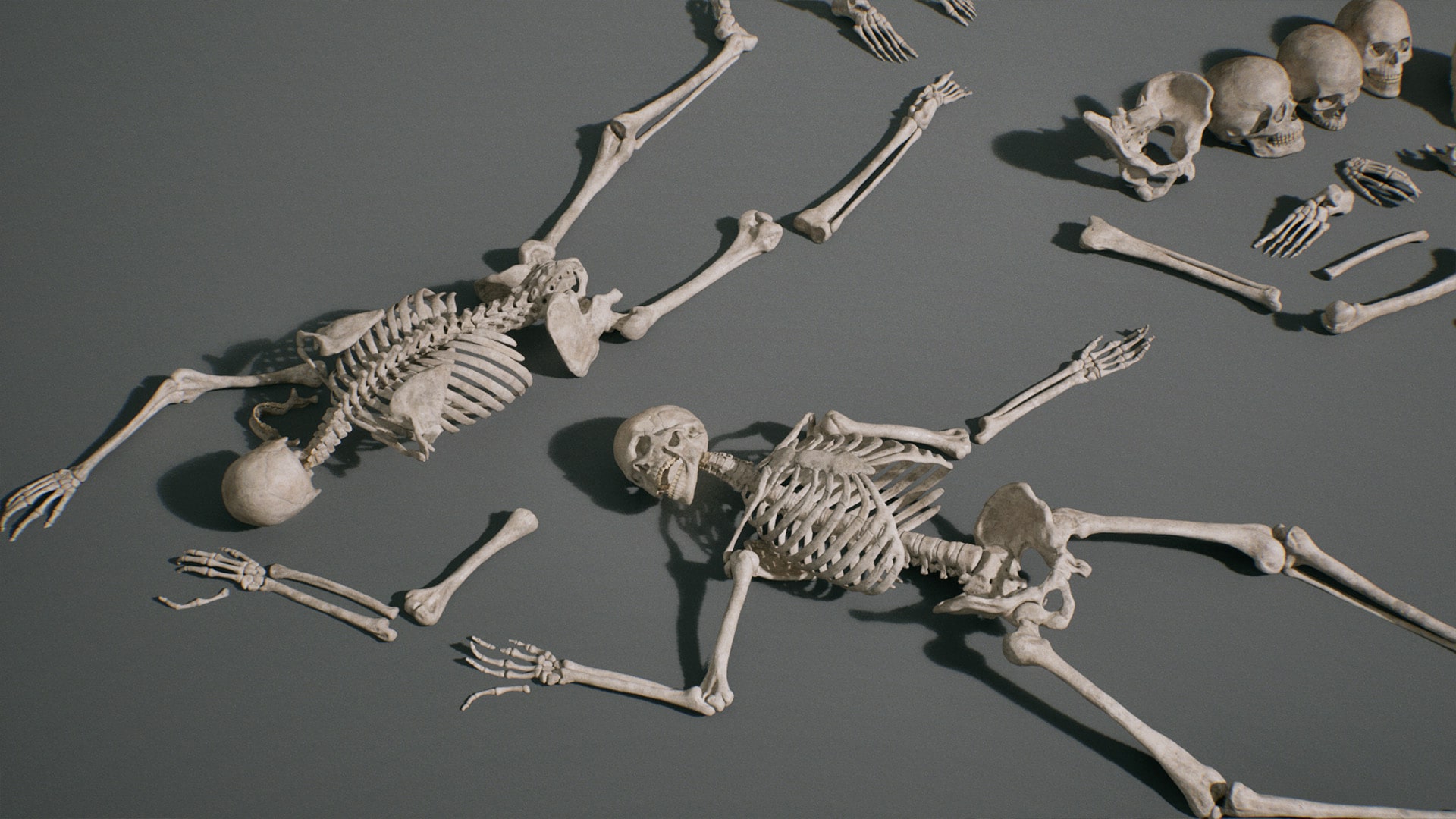 Bones VOL.2 - Human Bones (Nanite + Low Poly) in Props - UE Marketplace