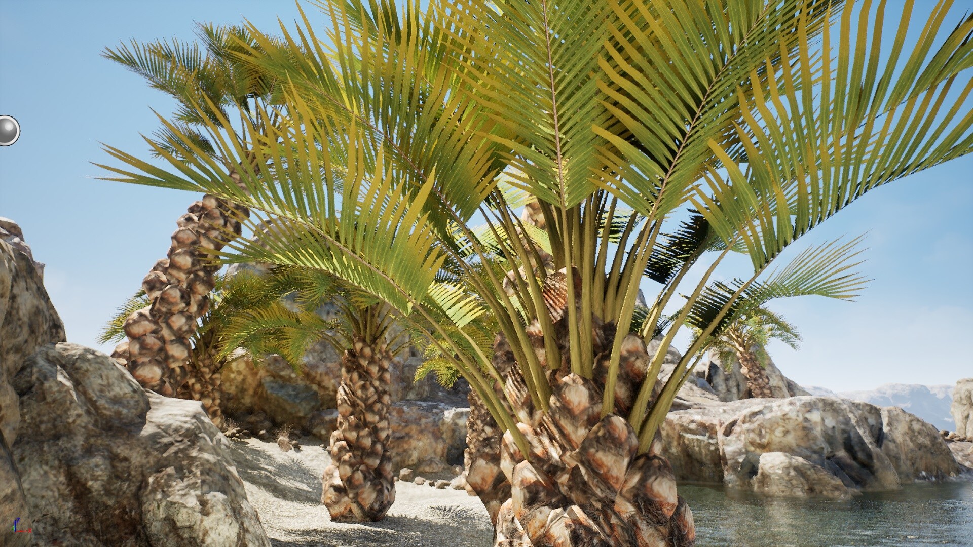 Realistic Palm Pack 6 (Mobile/Desktop), 카테고리 소품 - UE 마켓플레이스