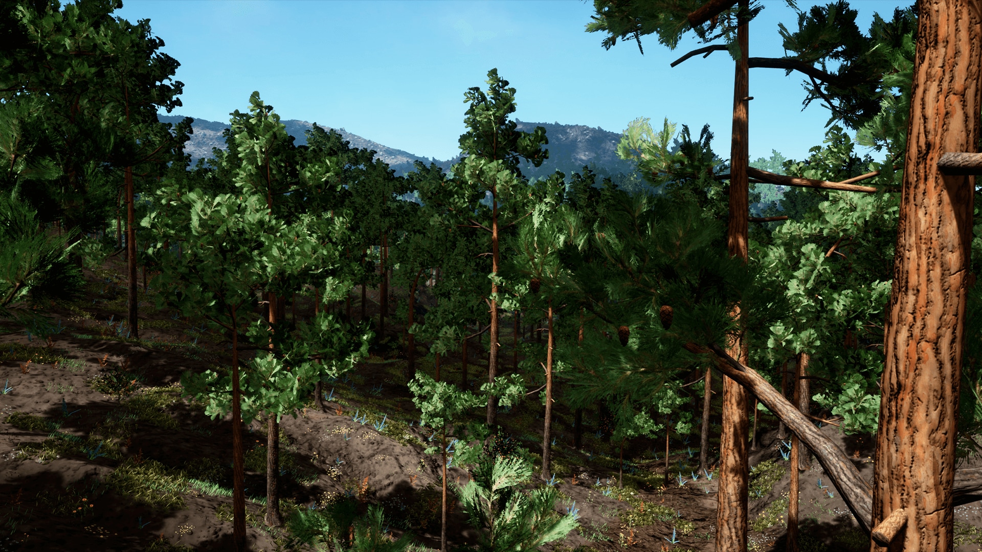 Procedural Nature Generator - Unreal Engine Asset Procedural Nature Generator - Unreal Engine Asset