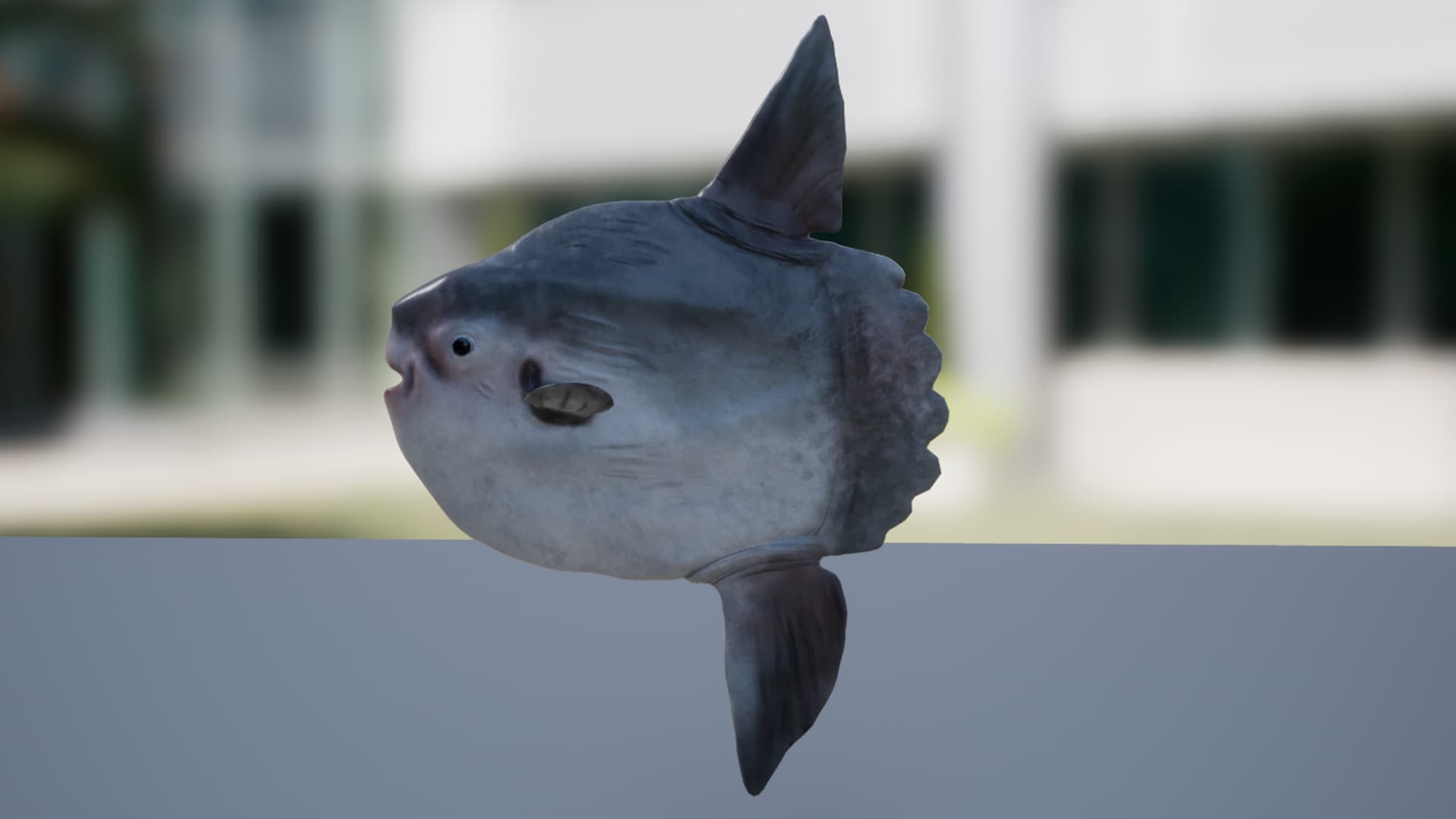 Sunfish in Characters - UE Marketplace