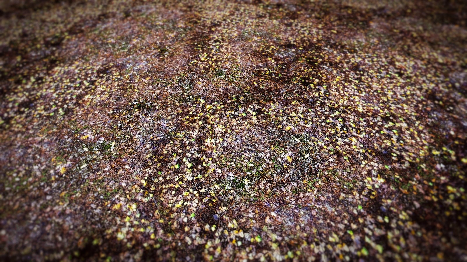 Landscape Texture Pack in Textures - UE Marketplace