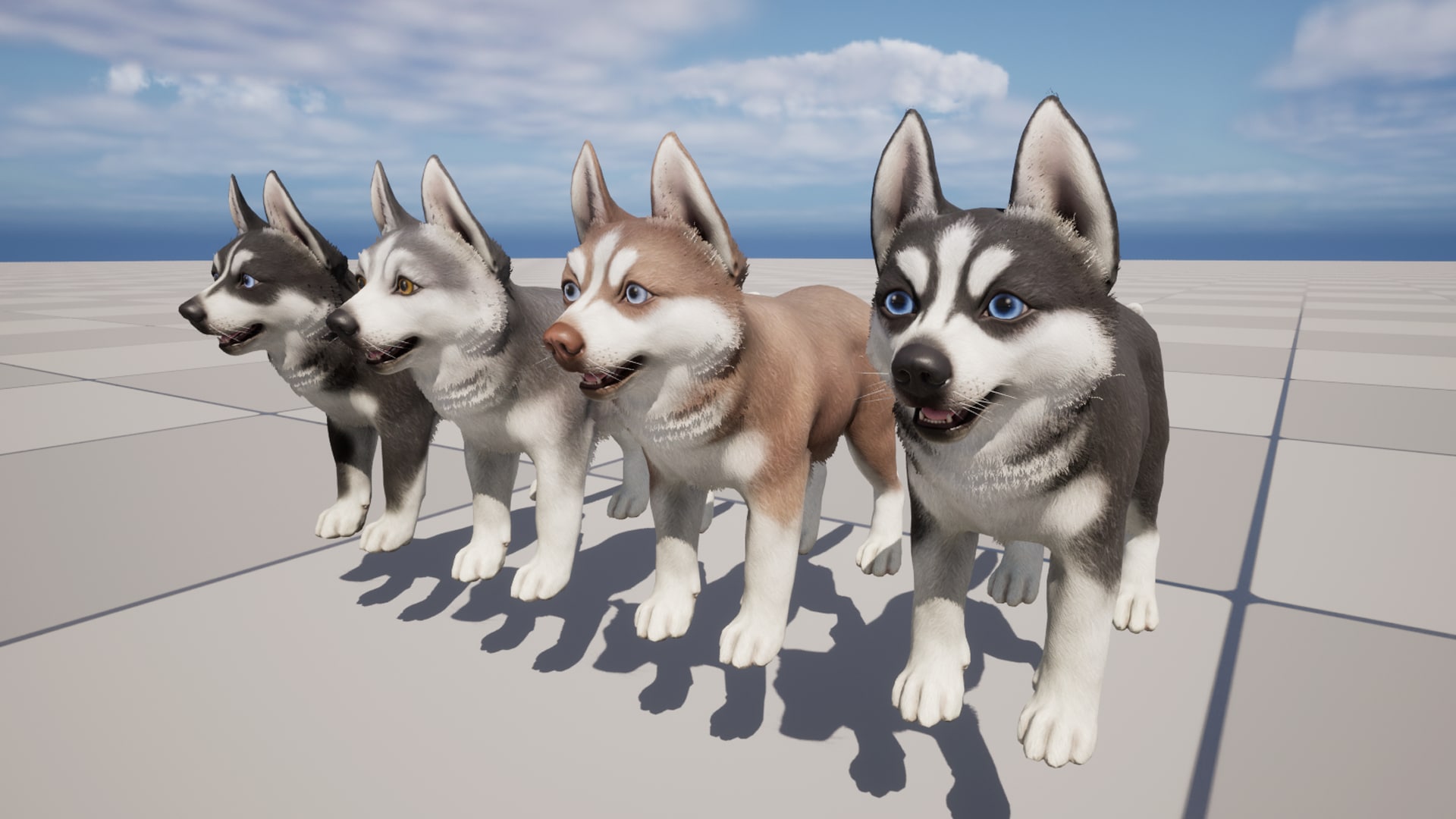 Husky Running Sketch