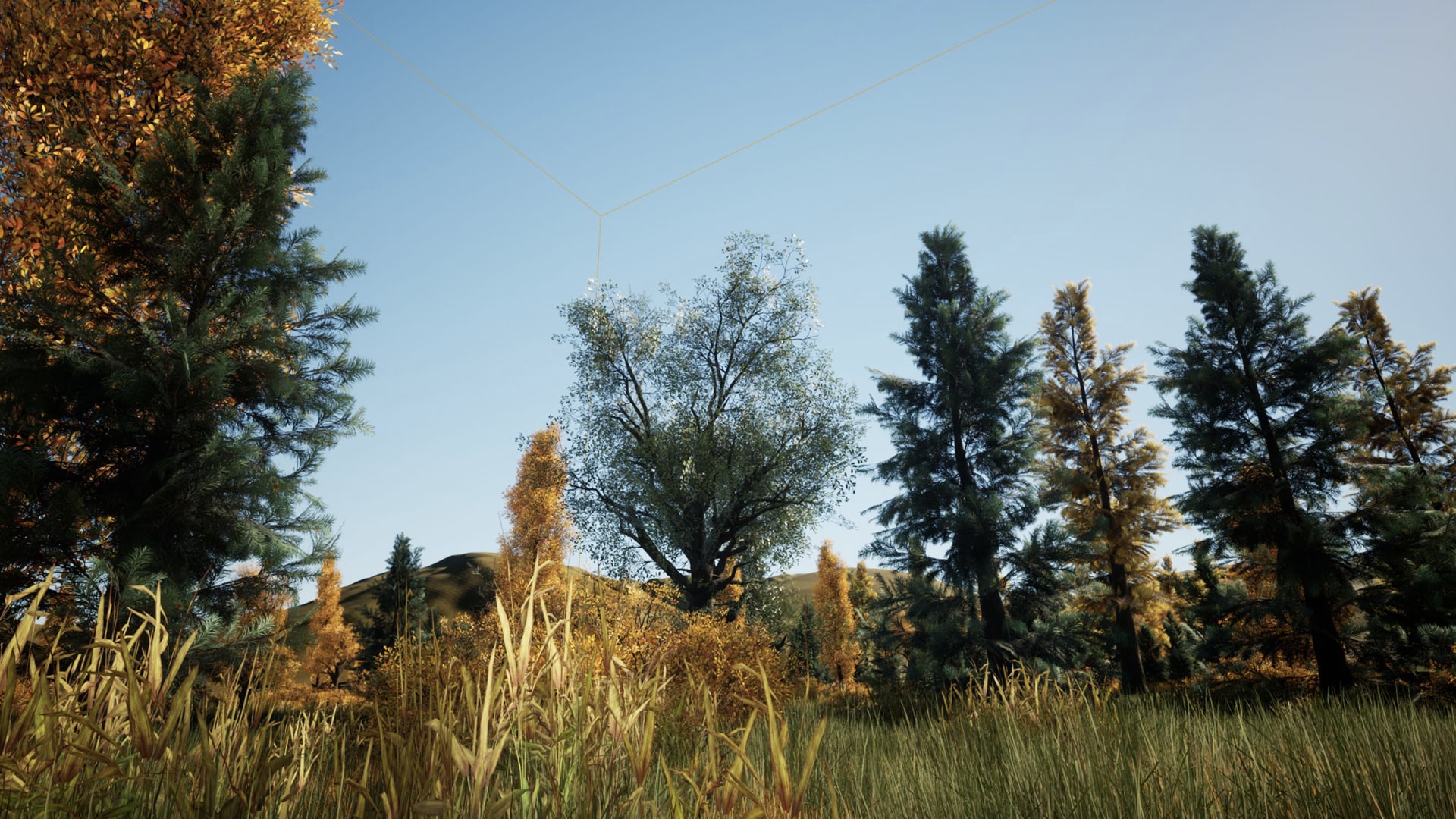 Realistic Autumn Forest Location 2x2 in Environments - UE Marketplace