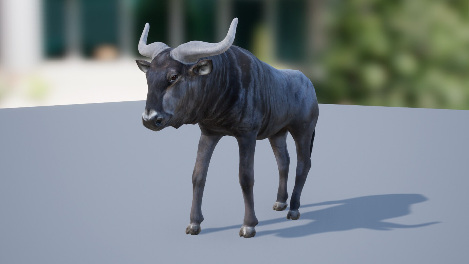 Wildebeest in Characters - UE Marketplace