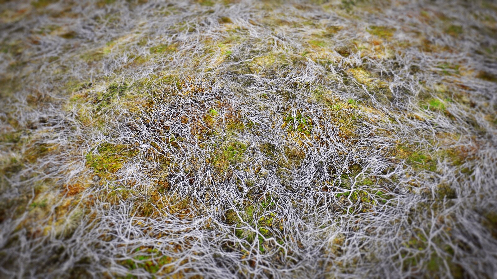 Landscape Texture Pack in Textures - UE Marketplace