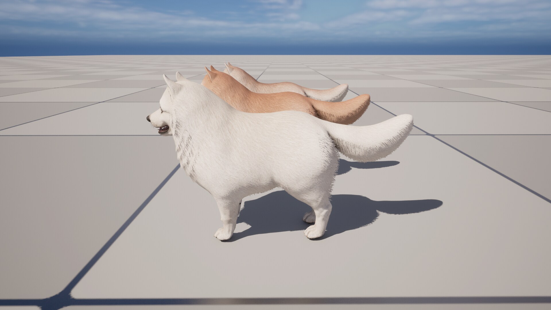 Dog - Pomeranian Spitz in Characters - UE Marketplace