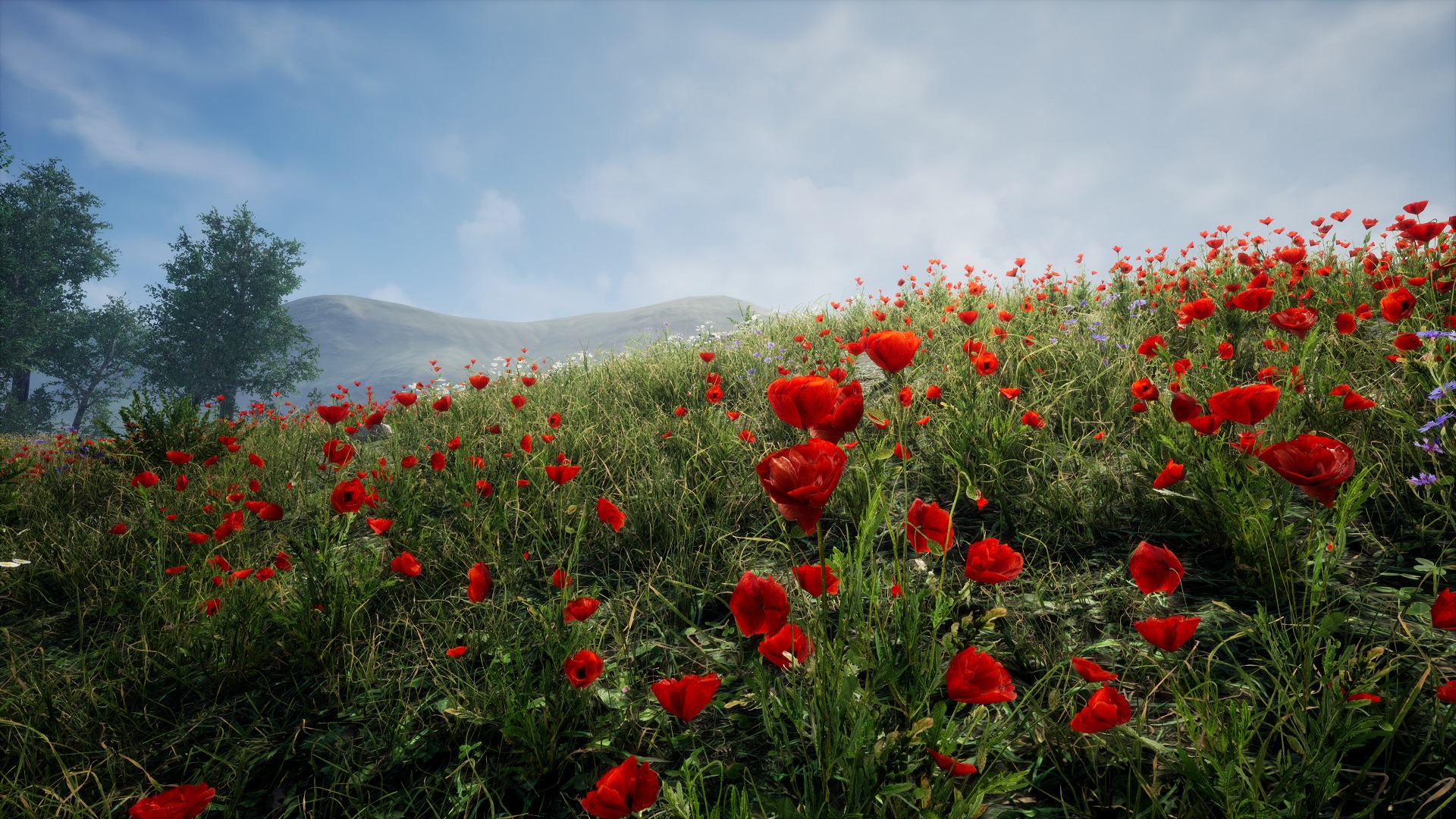 Meadow - Environment Set