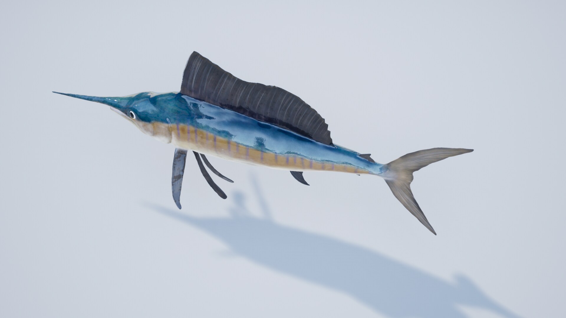Sailfish in Characters - UE Marketplace