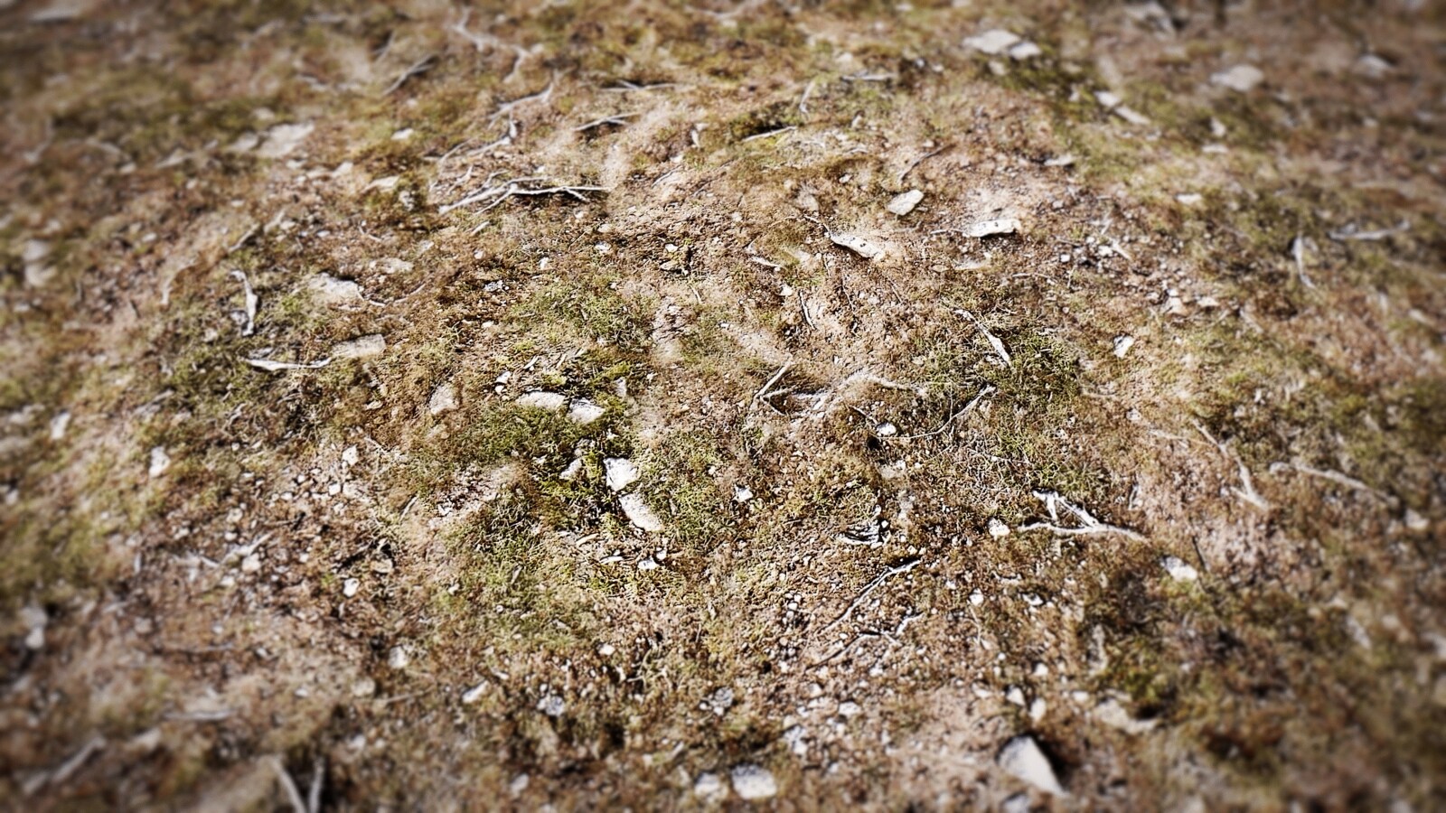 Landscape Texture Pack in Textures - UE Marketplace