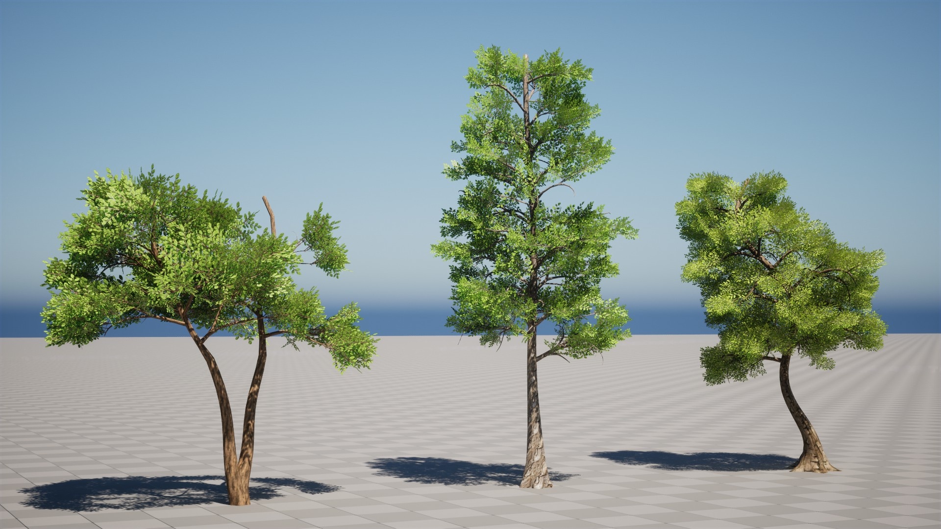 Realistic Trees Pack 6 in Props - UE Marketplace