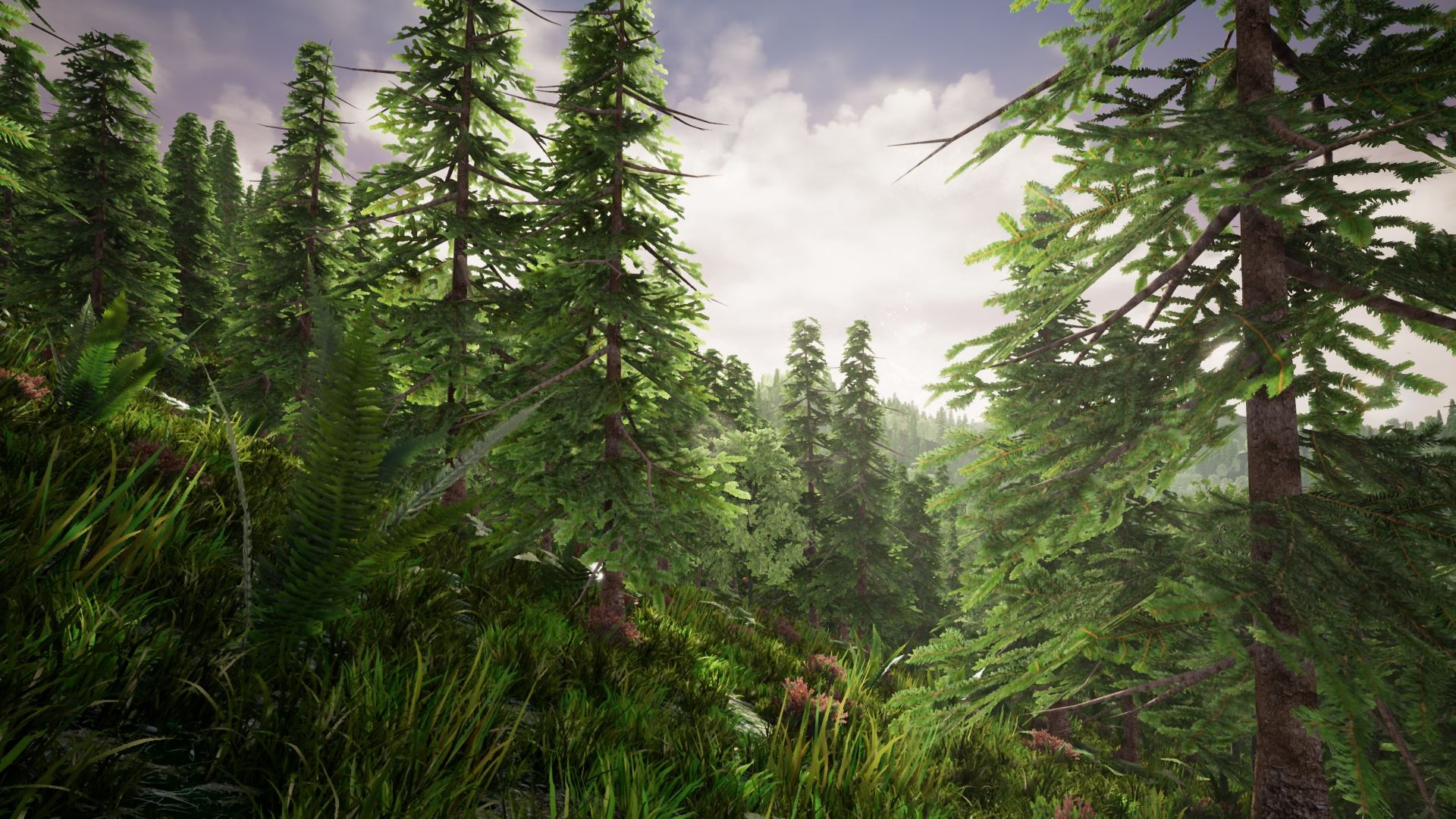 Nature Environment Pack in Environments - UE Marketplace