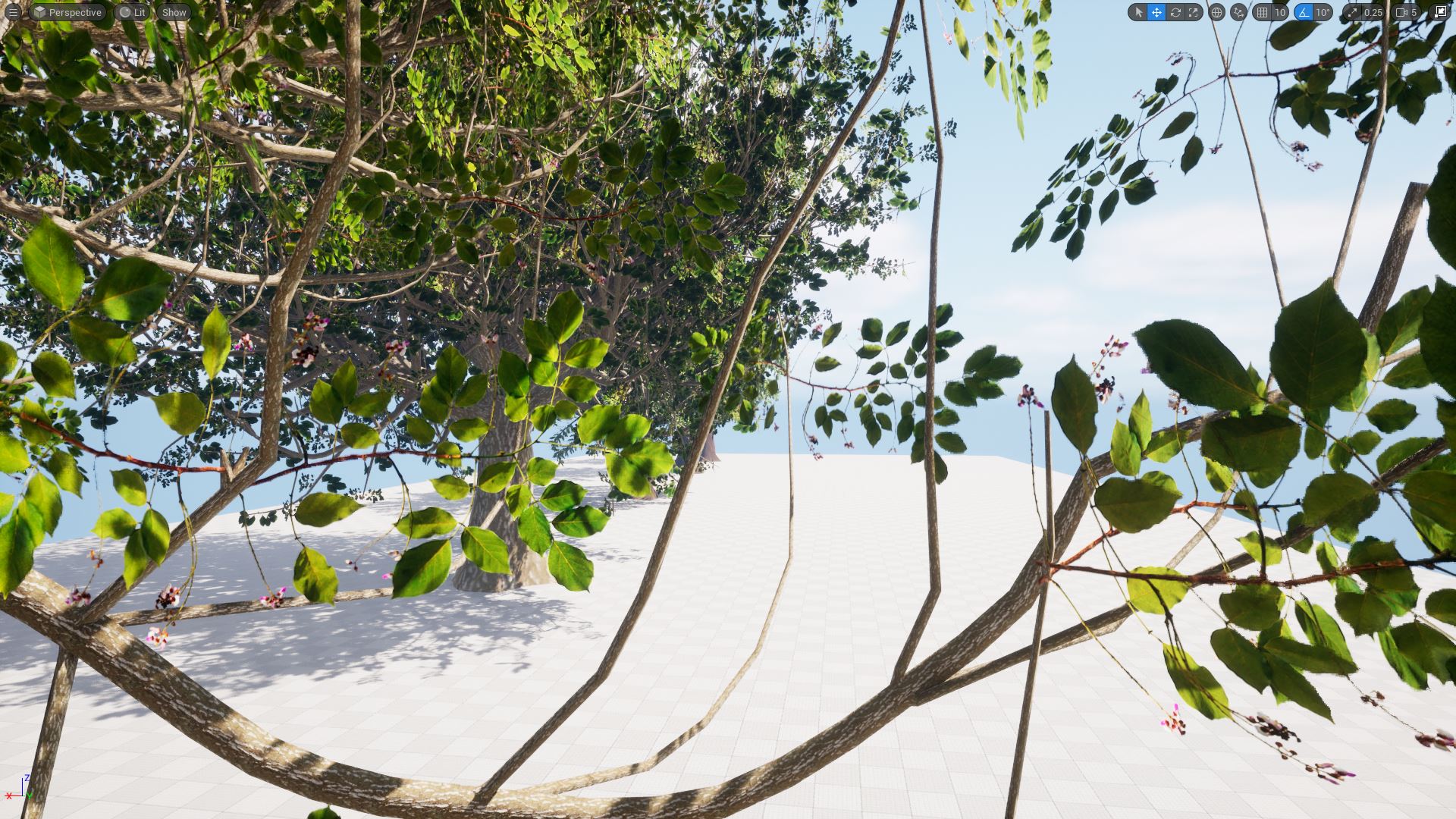 10 Realistic tree pack