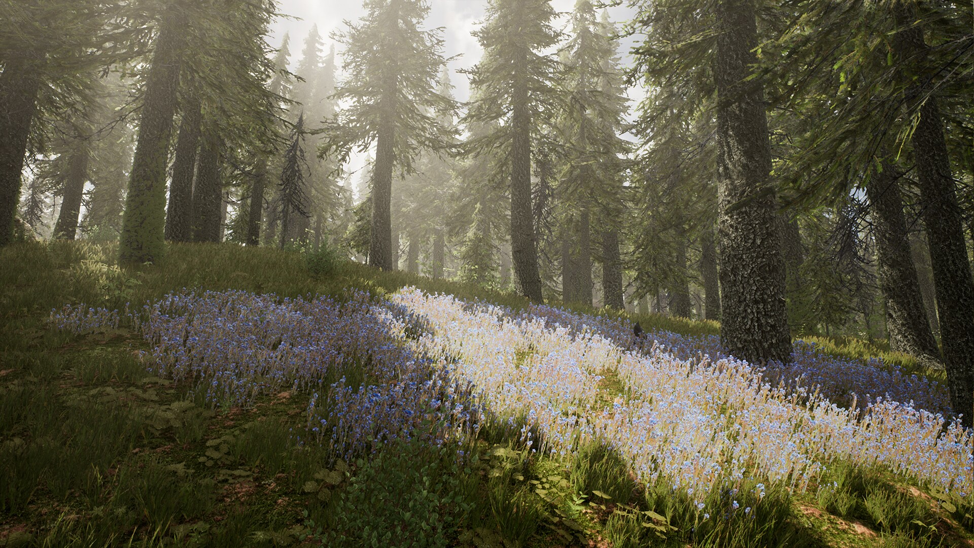 Spruce Forest in Environments - UE Marketplace