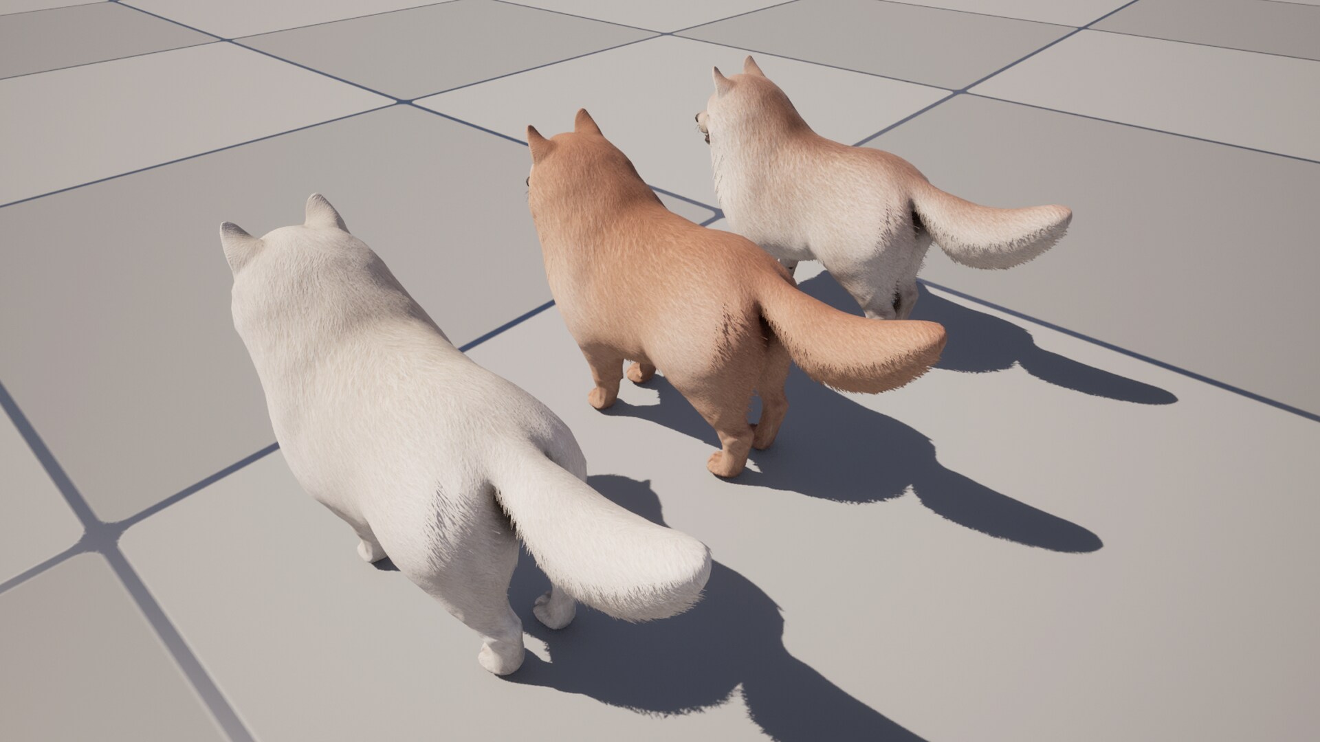 Dog - Pomeranian Spitz in Characters - UE Marketplace